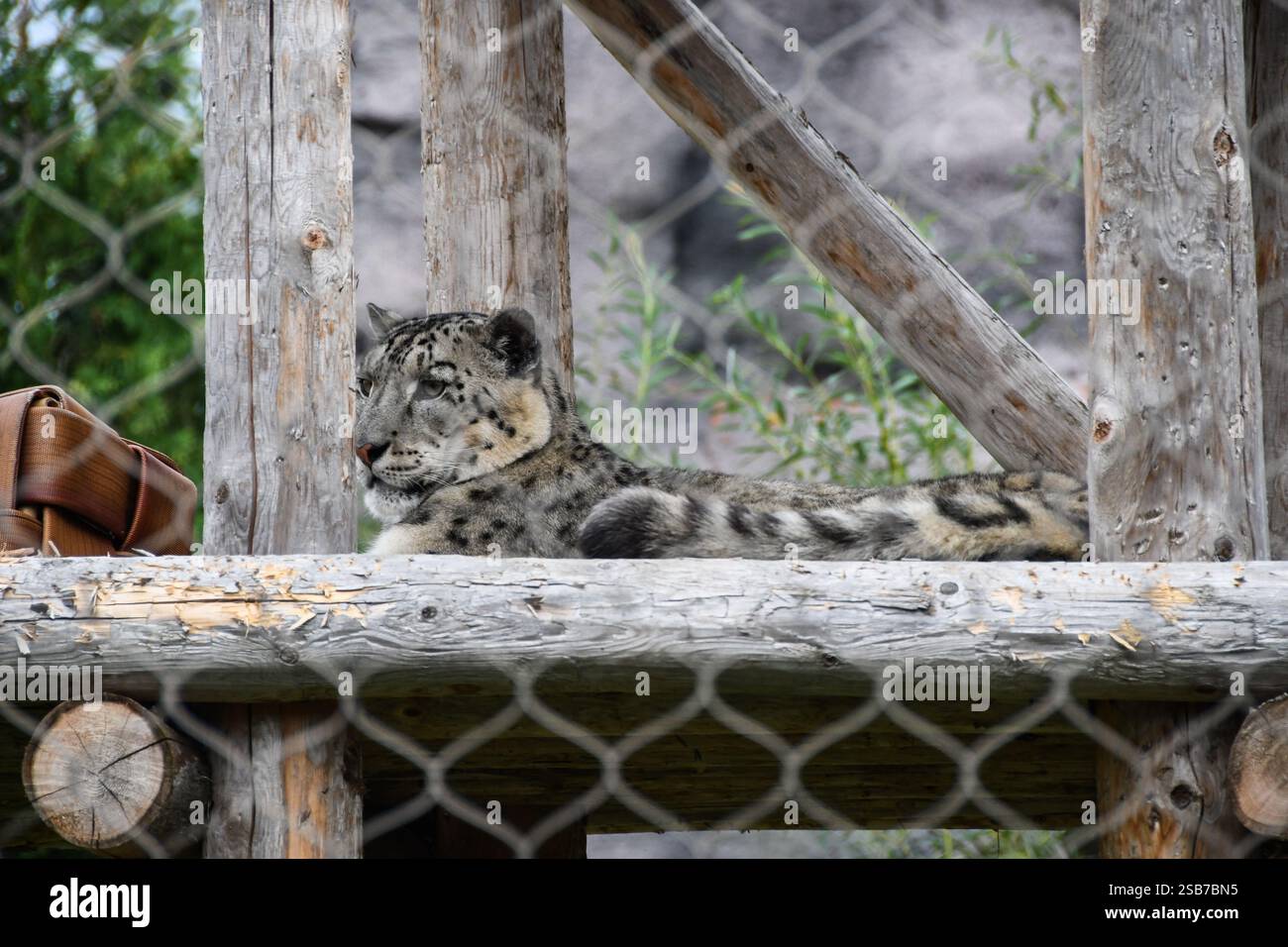 Animals at Toronto Zoo Stock Photo - Alamy