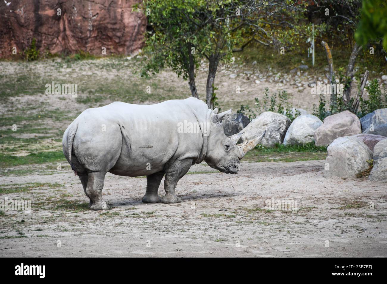 Animals at Toronto Zoo Stock Photo - Alamy