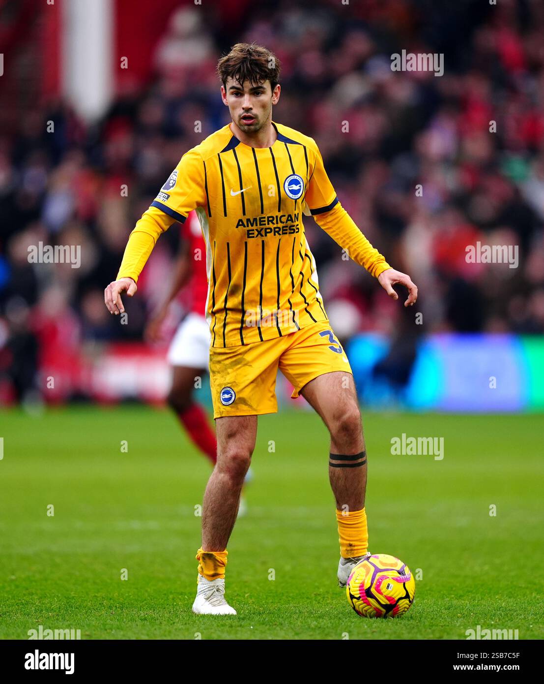 Brighton and Hove Albion's Matt O'Riley during the Premier League match ...