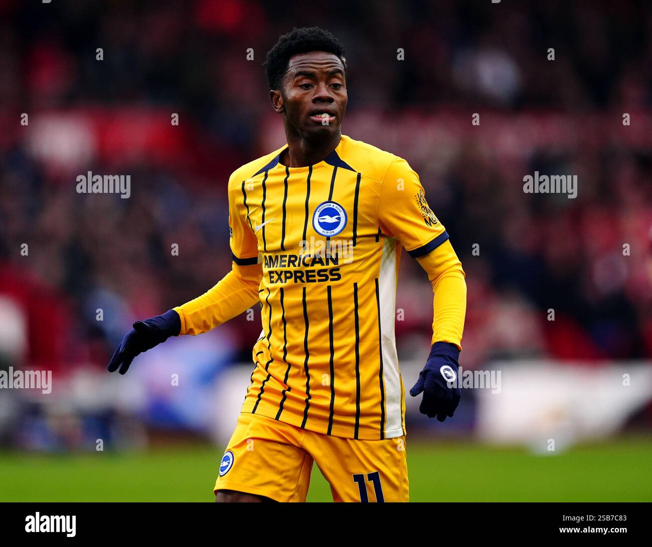 Brighton and Hove Albion's Simon Adingra during the Premier League ...