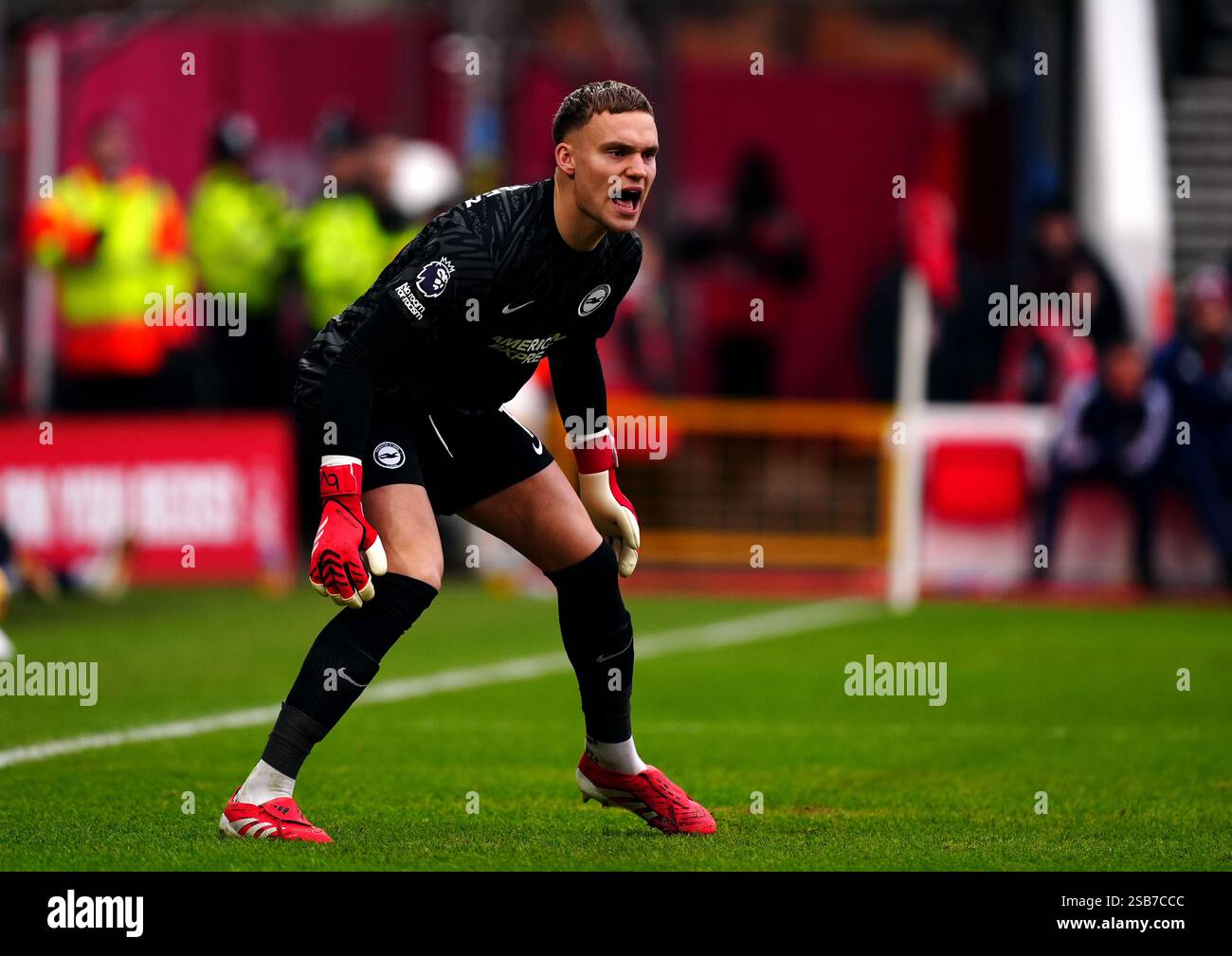 Brighton and Hove Albion goalkeeper Bart Verbruggen during the Premier ...