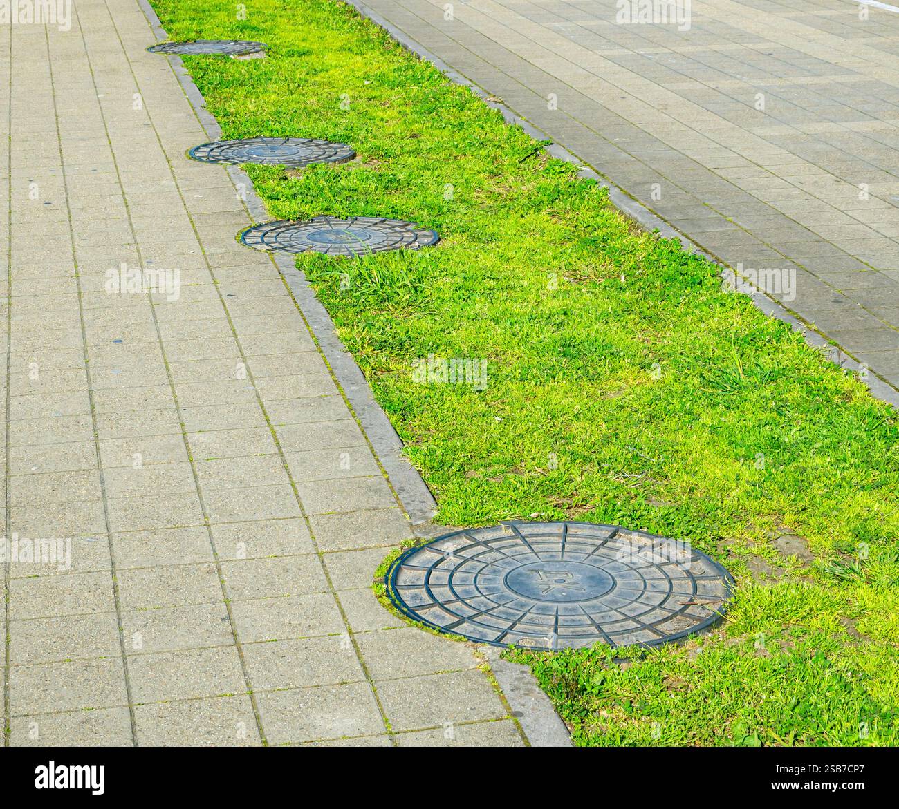 A row of manhole covers on the border between the sidewalk and the lawn ...