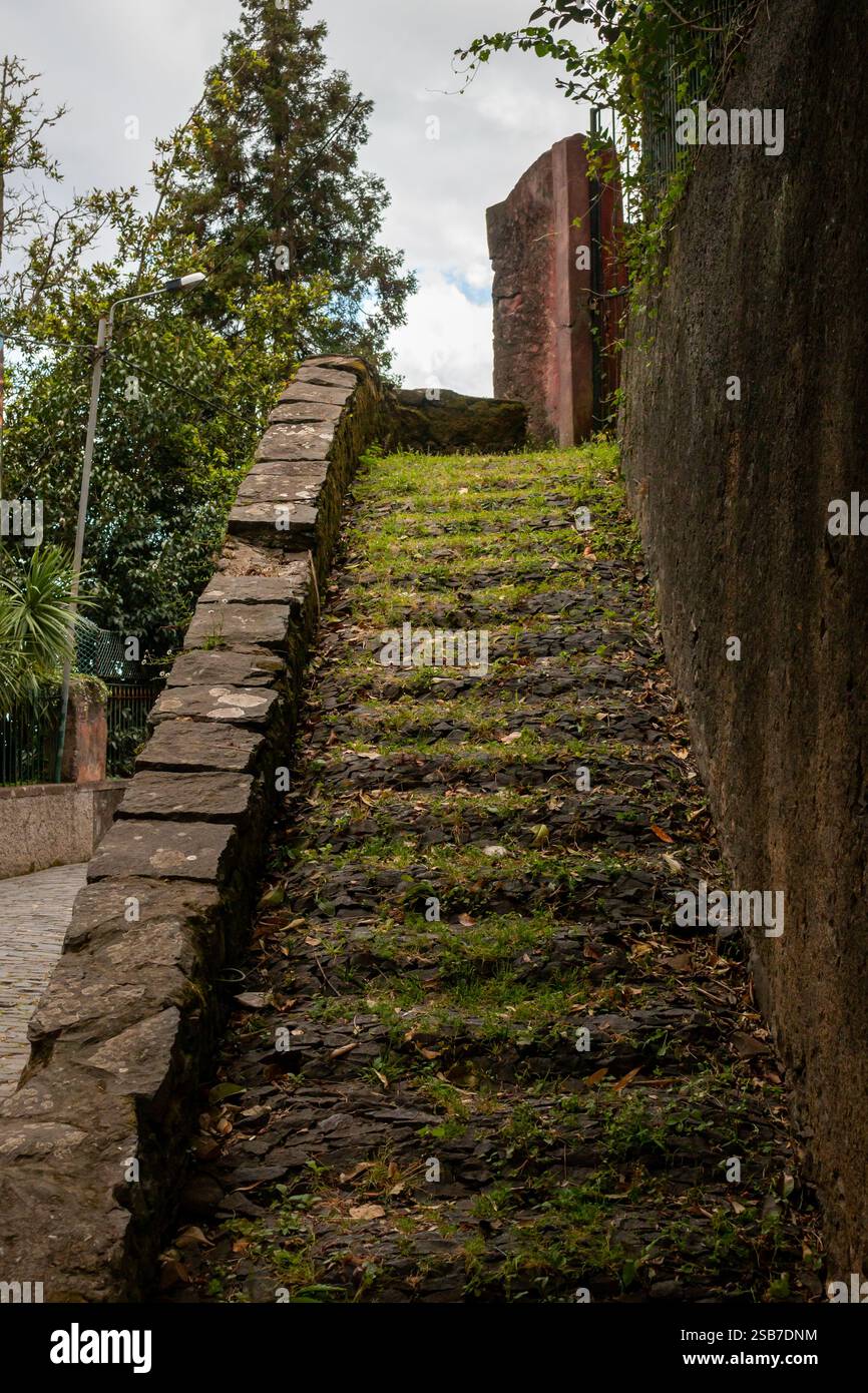Old stairs up a hill, covered by old leaves and fresh grass. Pink part ...