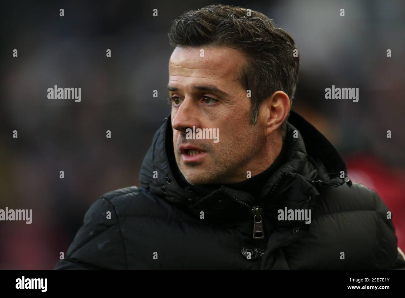 Fulham Head Coach Marco Silva during the Premier League match between ...