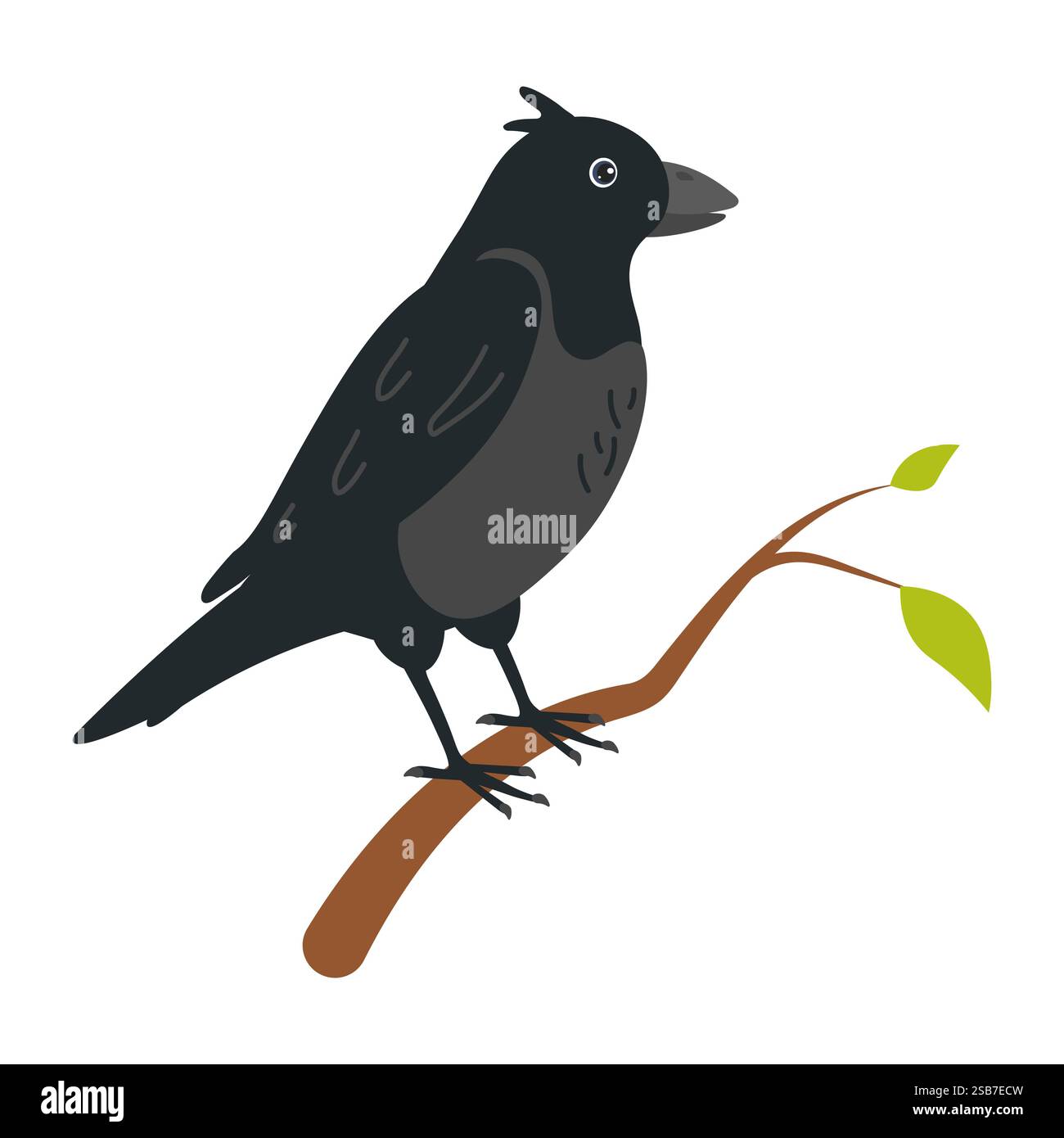 Avian gaze Stock Vector Images - Alamy