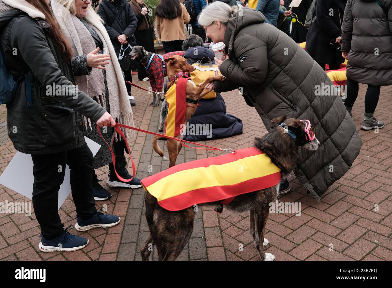 London, UK. 1st February, 2025 Dog owners march with their pets, draped ...