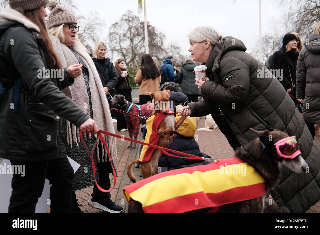 London, UK. 1st February, 2025 Dog owners march with their pets, draped ...