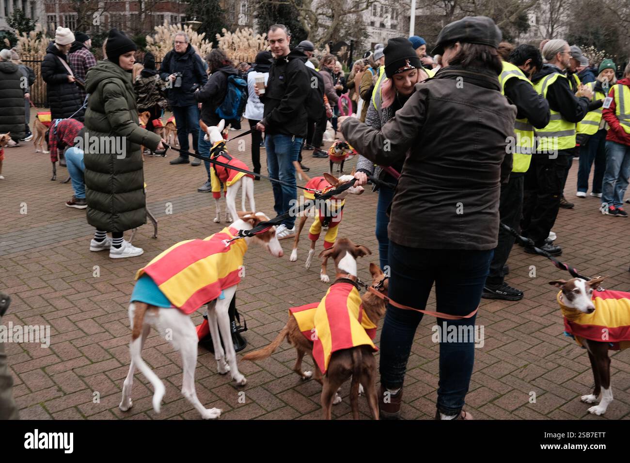 London, UK. 1st February, 2025 Dog owners march with their pets, draped ...