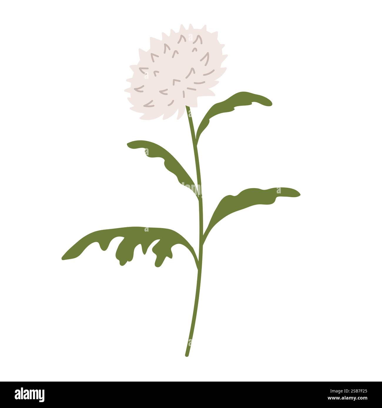 A beautiful, fluffy white flower grows gracefully on a slender green ...