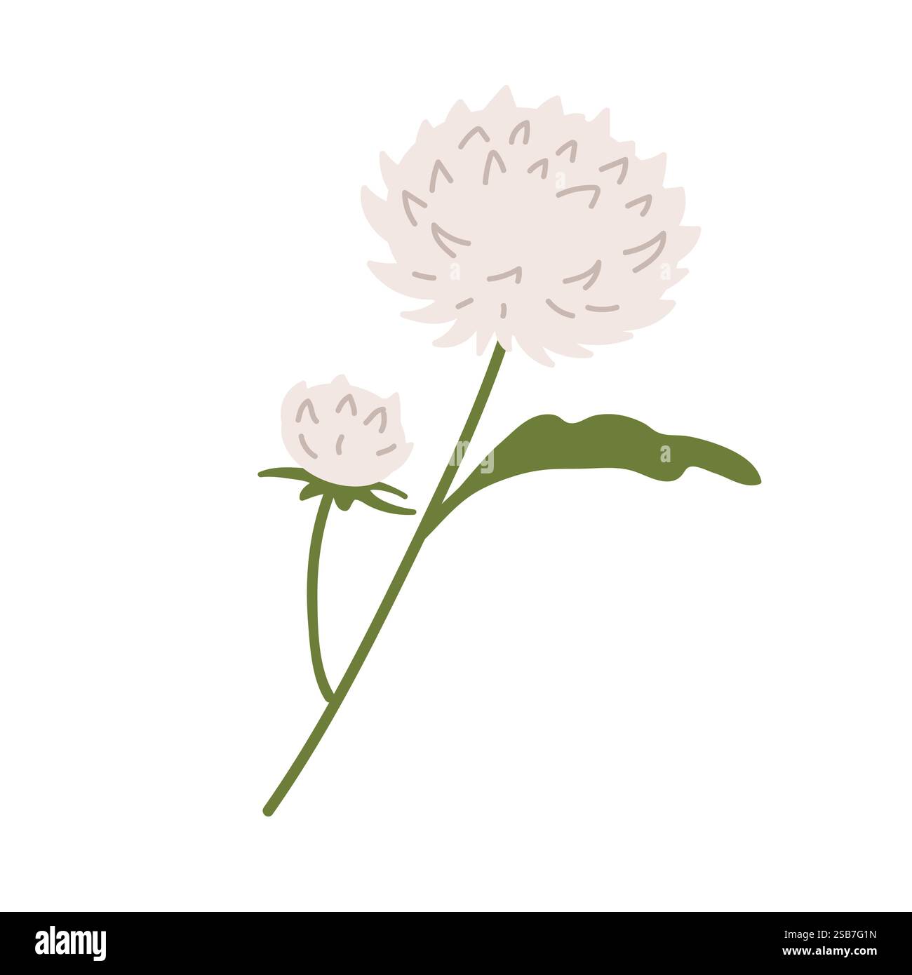 Two white flowers, one large and one small, feature soft petals and ...