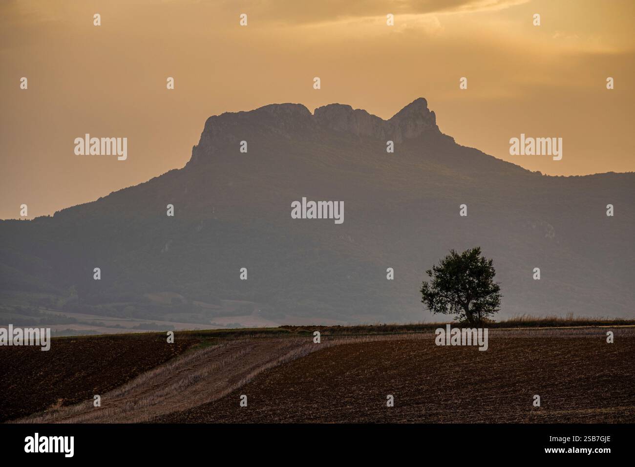 Kapildui Mountain, Izki Natural Park, Alavesa Mountain Group, Alava ...