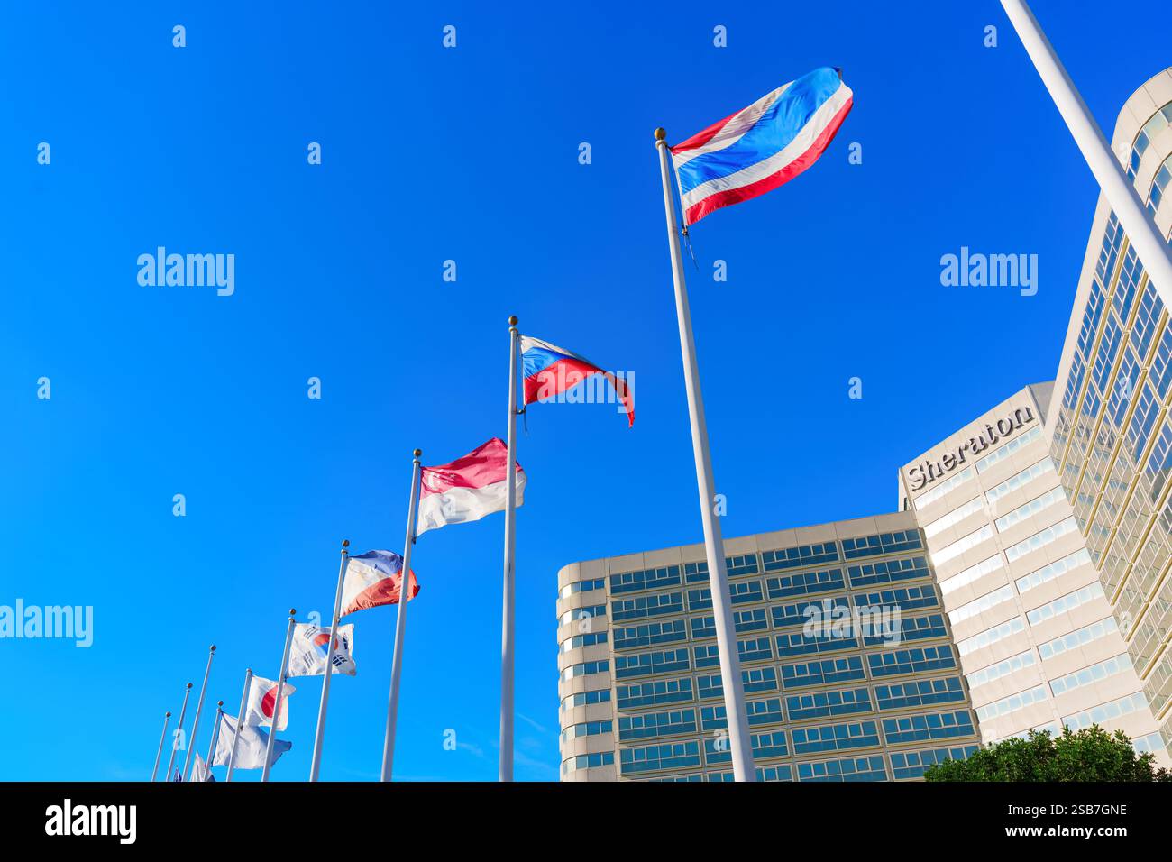 Los Angeles, California - January 6, 2025: Close-up of various flags ...
