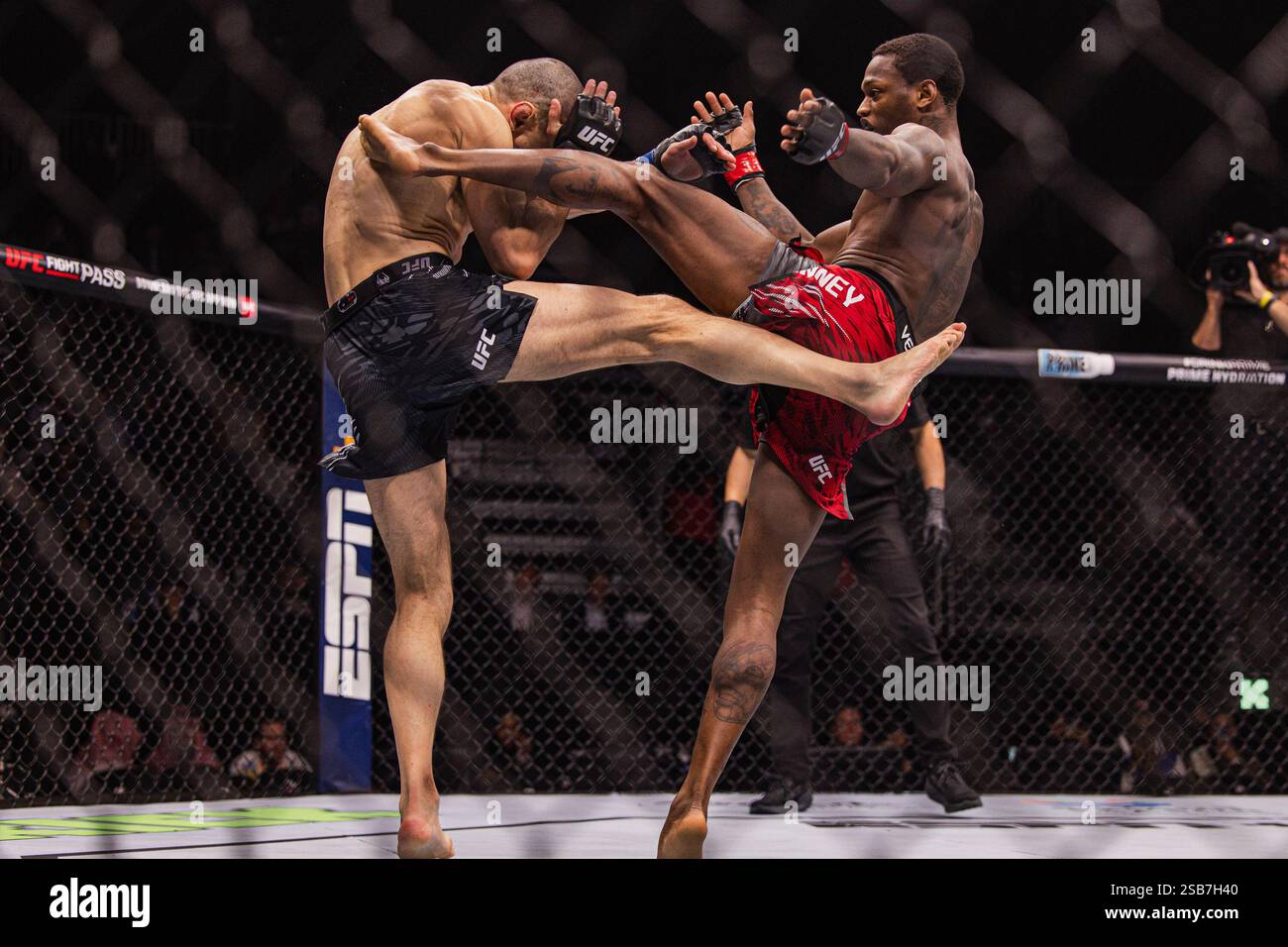 February 1, 2025, Riyadh, Riyadh, Saudi Arabia, Saudi Arabia: Damir ...