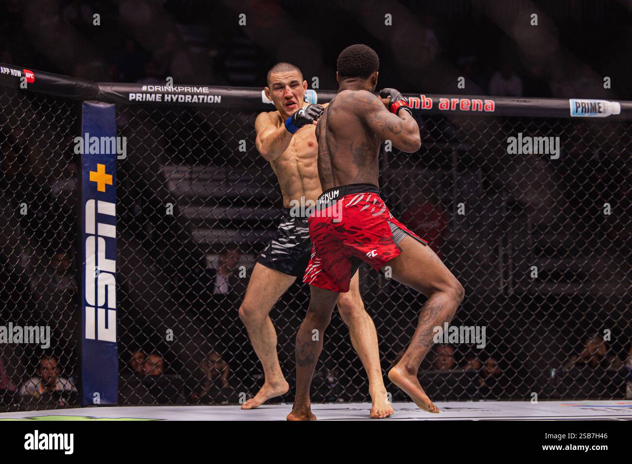 February 1, 2025, Riyadh, Riyadh, Saudi Arabia, Saudi Arabia: Damir ...