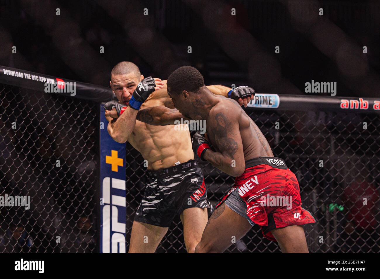 February 1, 2025, Riyadh, Riyadh, Saudi Arabia, Saudi Arabia: Damir ...