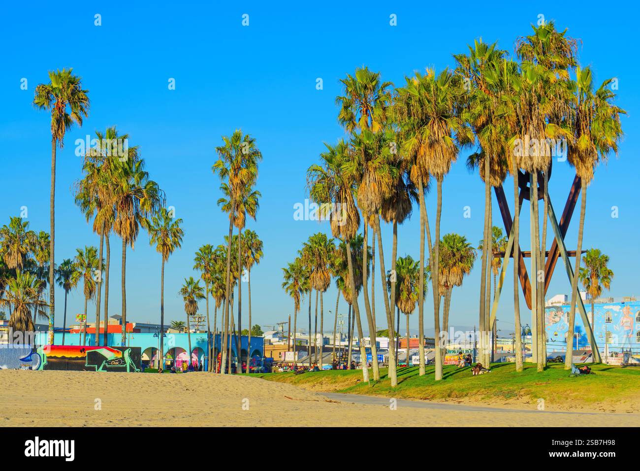 Los Angeles, California - December 18, 2024: Palm trees framing ...
