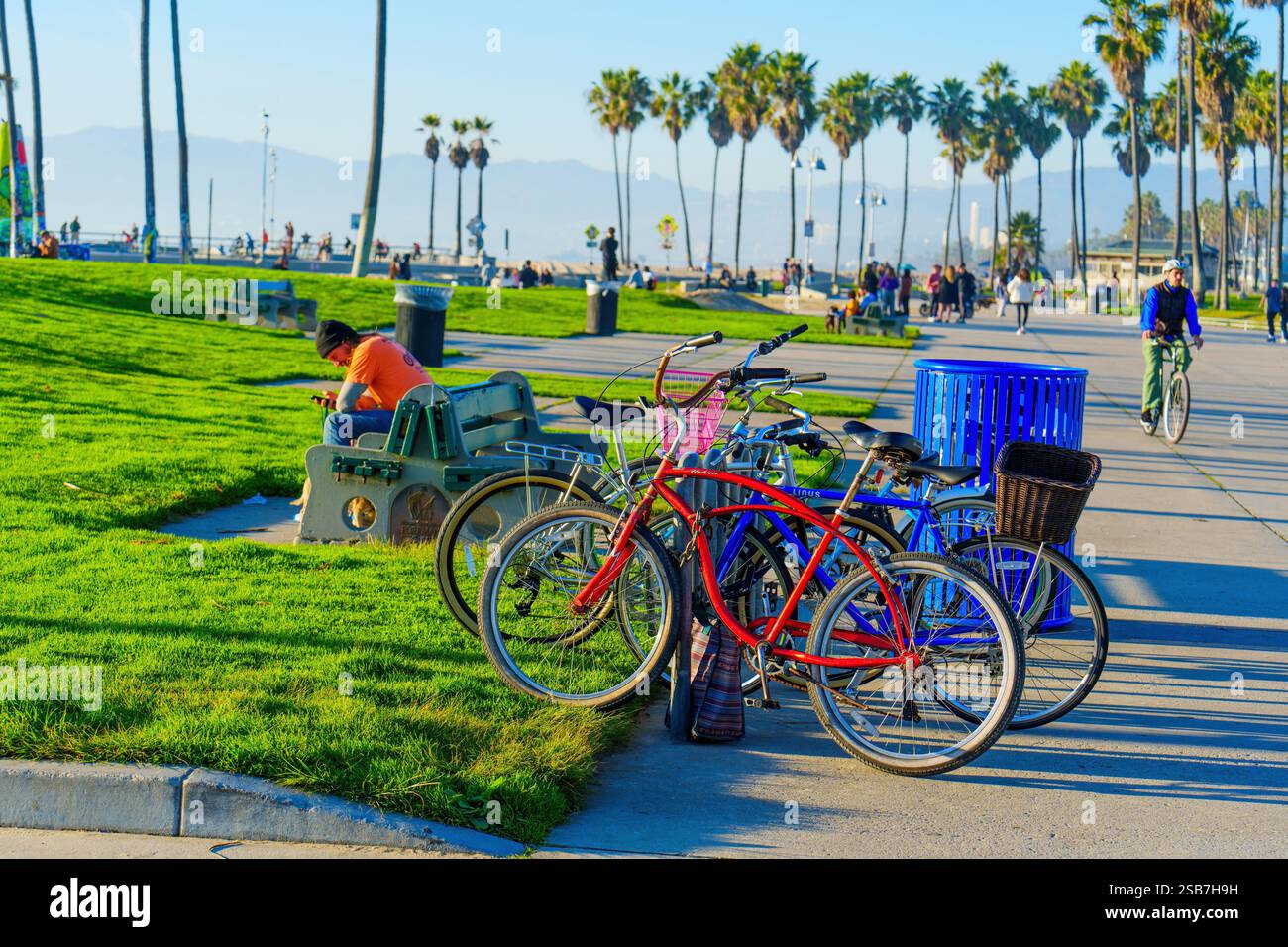 Los Angeles, California - December 18, 2024: Cluster of colorful ...