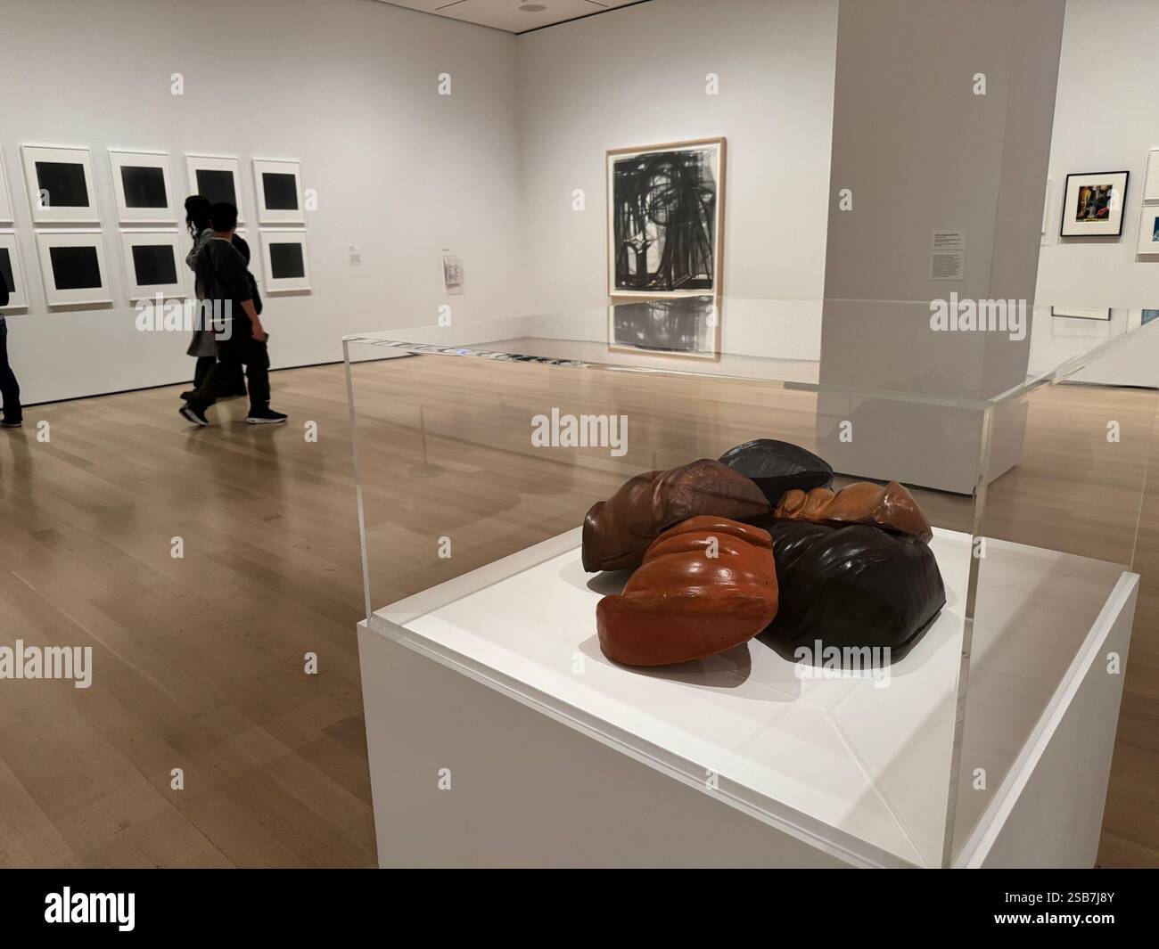 February 1, 2025, New York City, New York: (new) moma at a glance ...