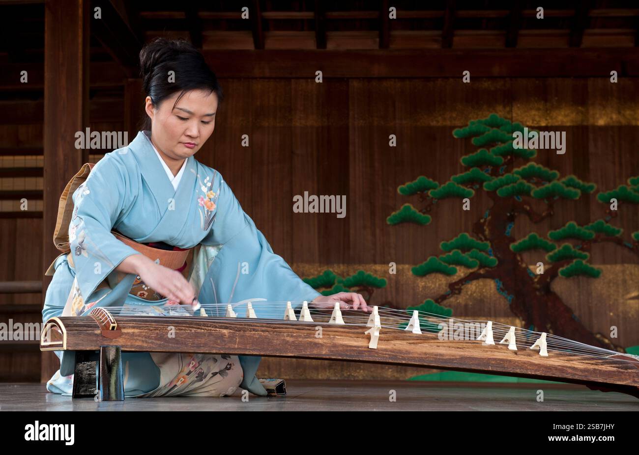 Woman wearing kimono playing a koto (Japanese harp) string instrument ...