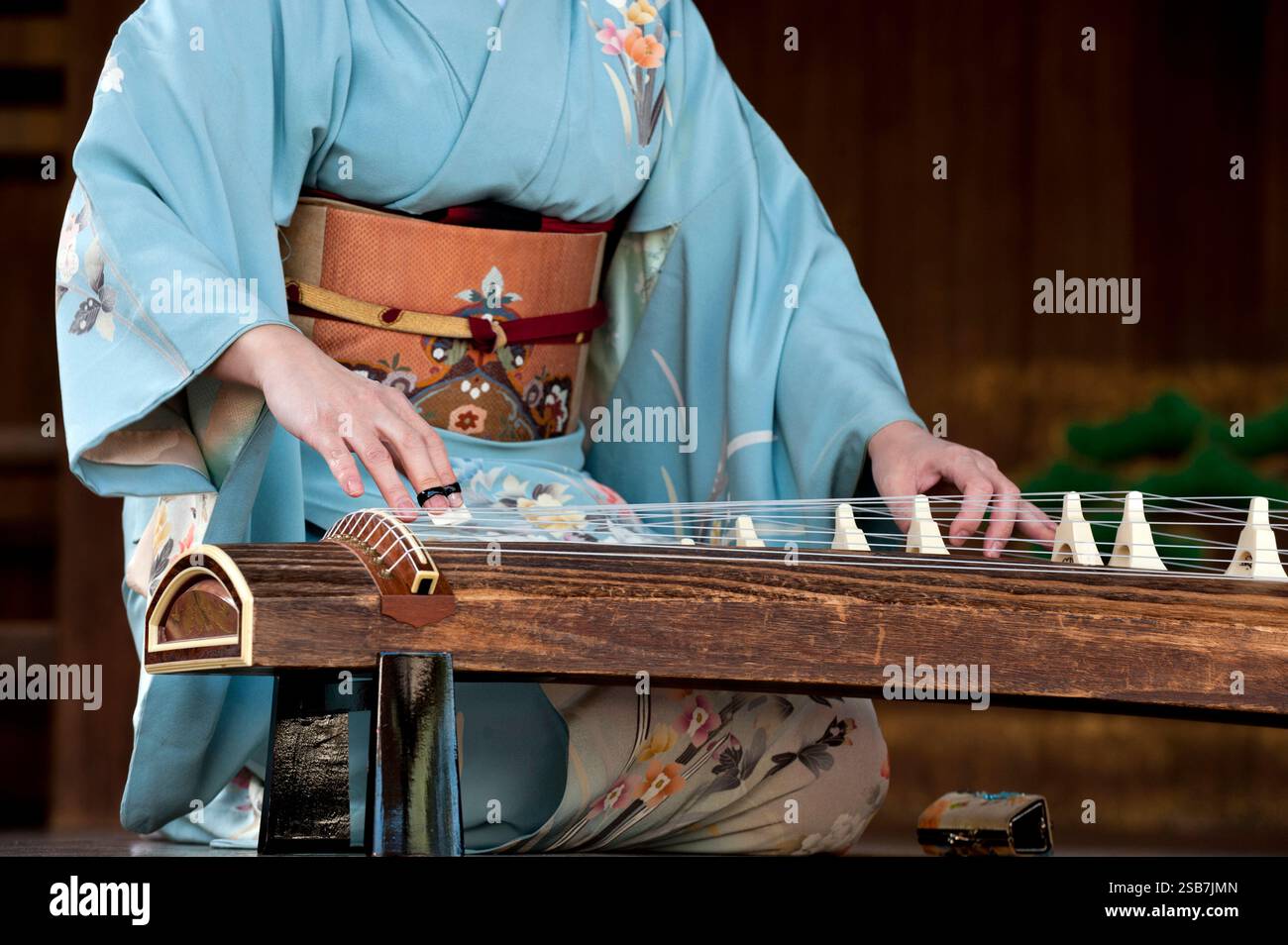 Woman wearing kimono playing a koto (Japanese harp) string instrument ...