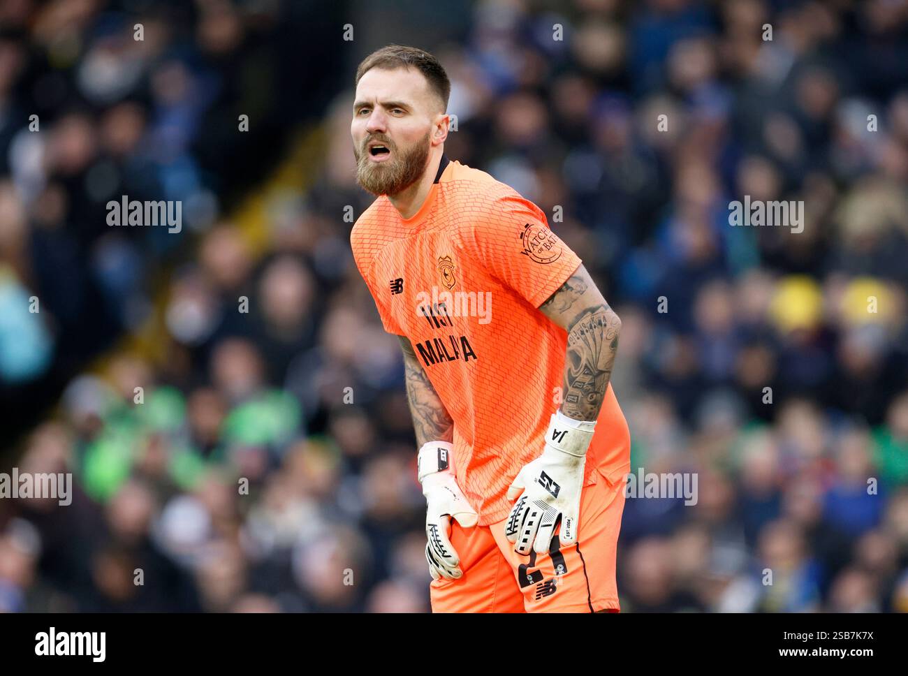 Cardiff City's Jak Alnwick during the Sky Bet Championship match at ...