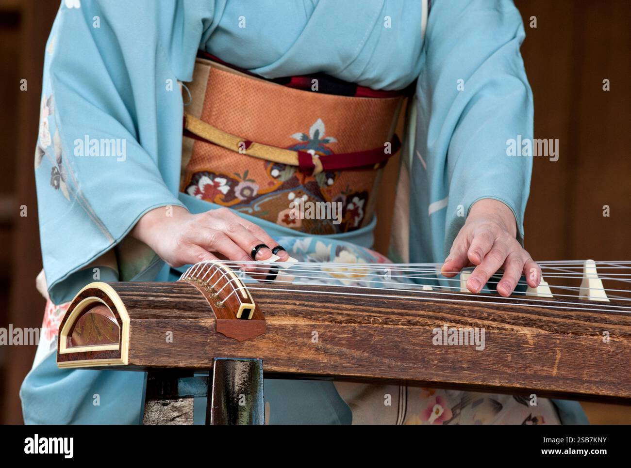 Woman wearing kimono playing a koto (Japanese harp) string instrument ...