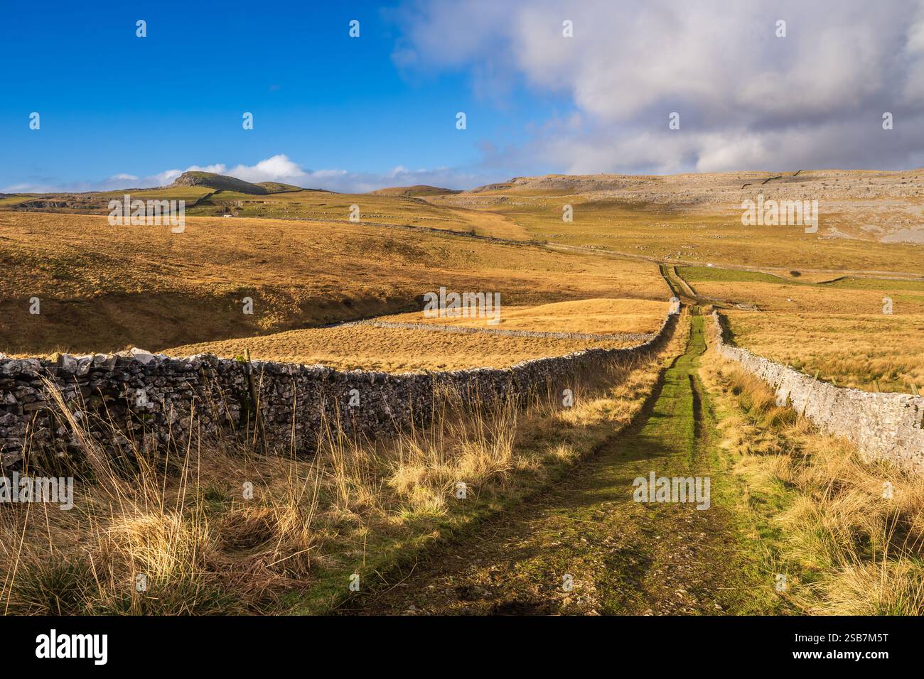 Dry stone walls and green fields near to the In gleton Waterfalls in ...