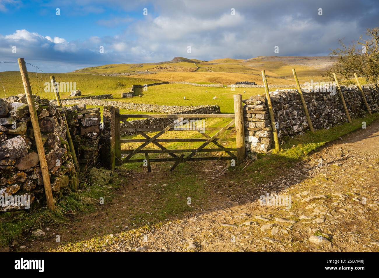 Dry stone walls and green fields near to the In gleton Waterfalls in ...
