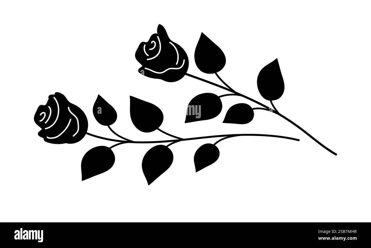 Elegant black rose design with leaves on a white background for decor ...