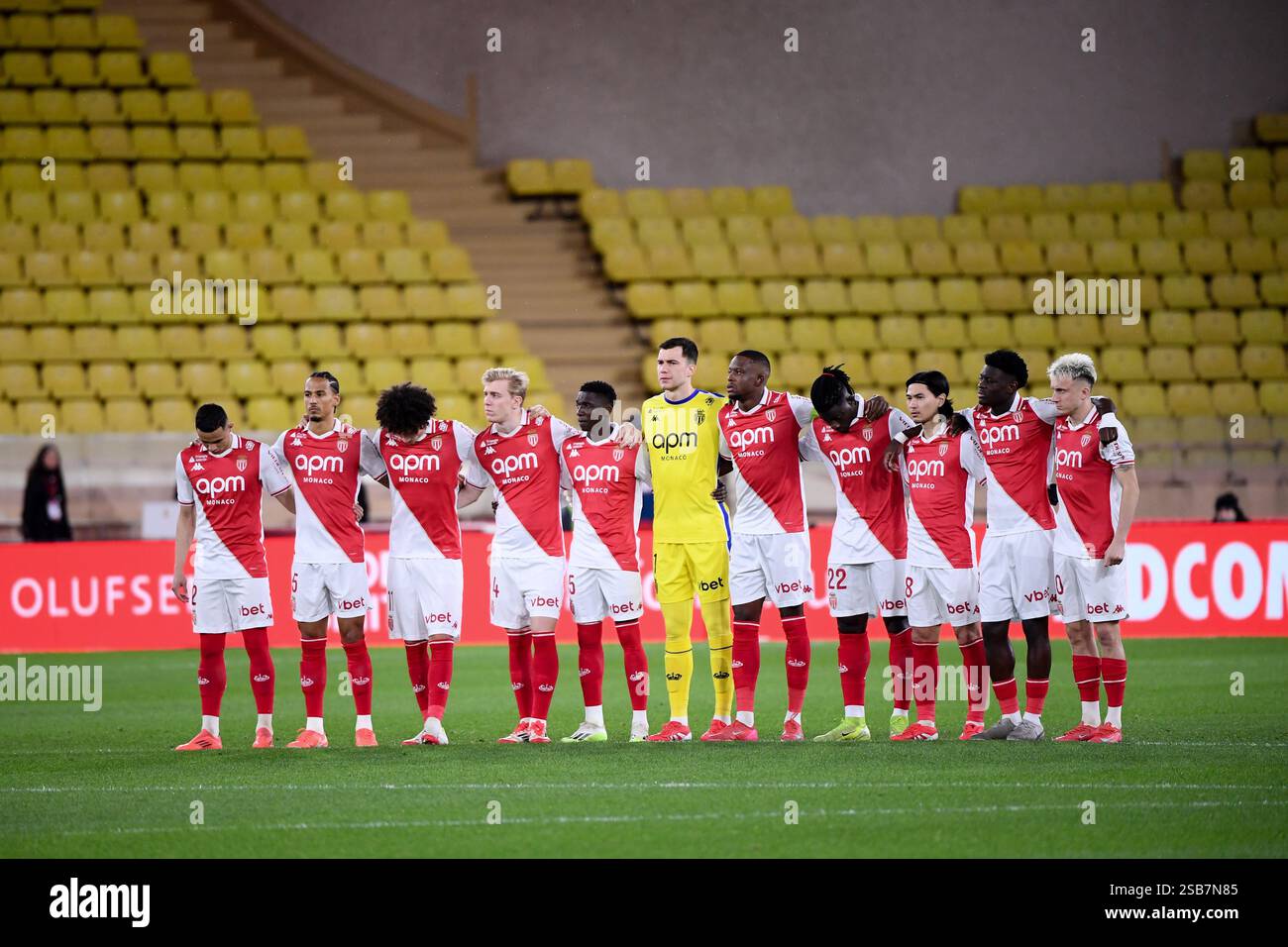 Equipe de football de Monaco ASM during the Ligue 1 McDonald's match between Monaco and Auxerre ...