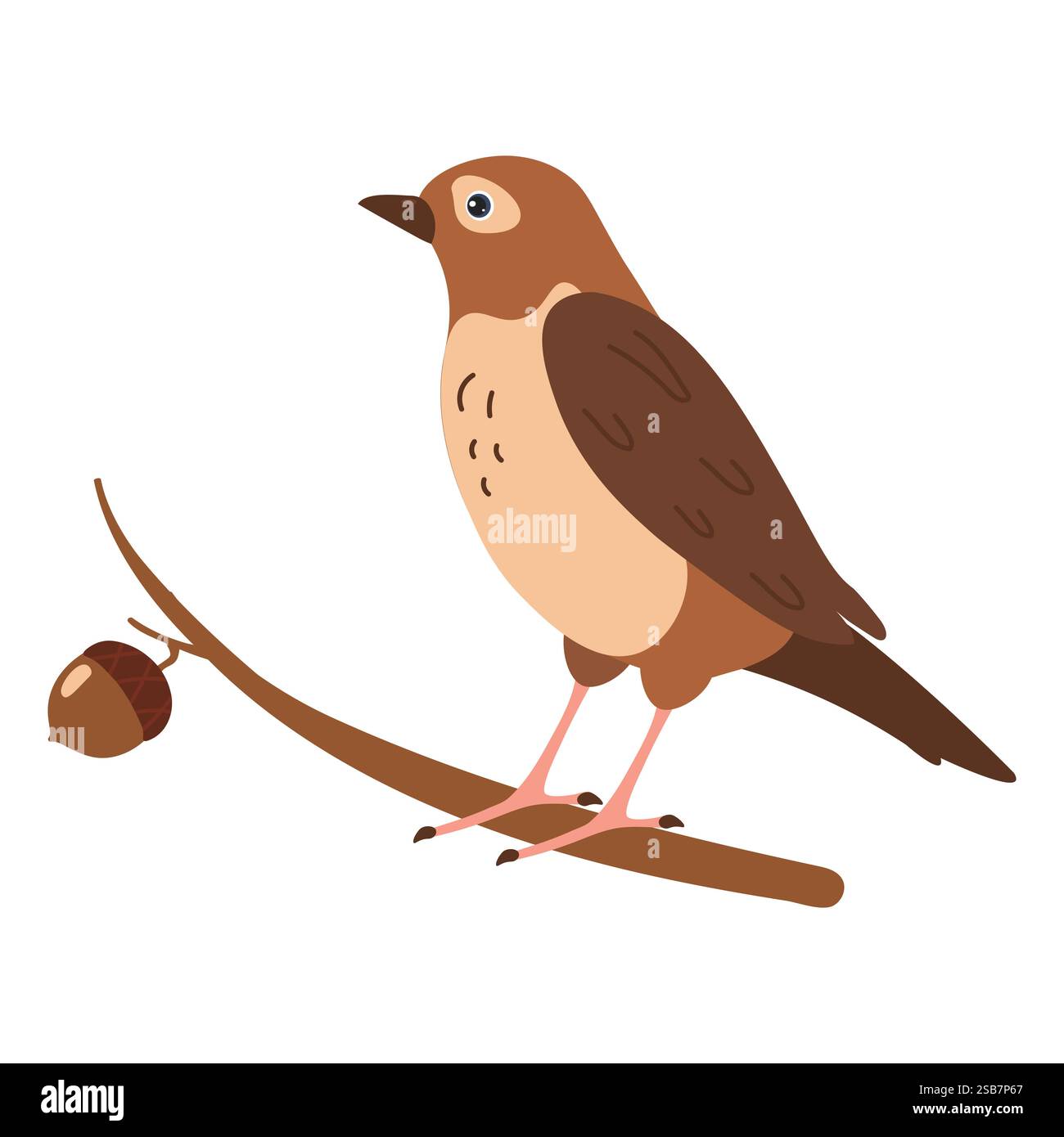 Seasonal bird behavior Stock Vector Images - Alamy