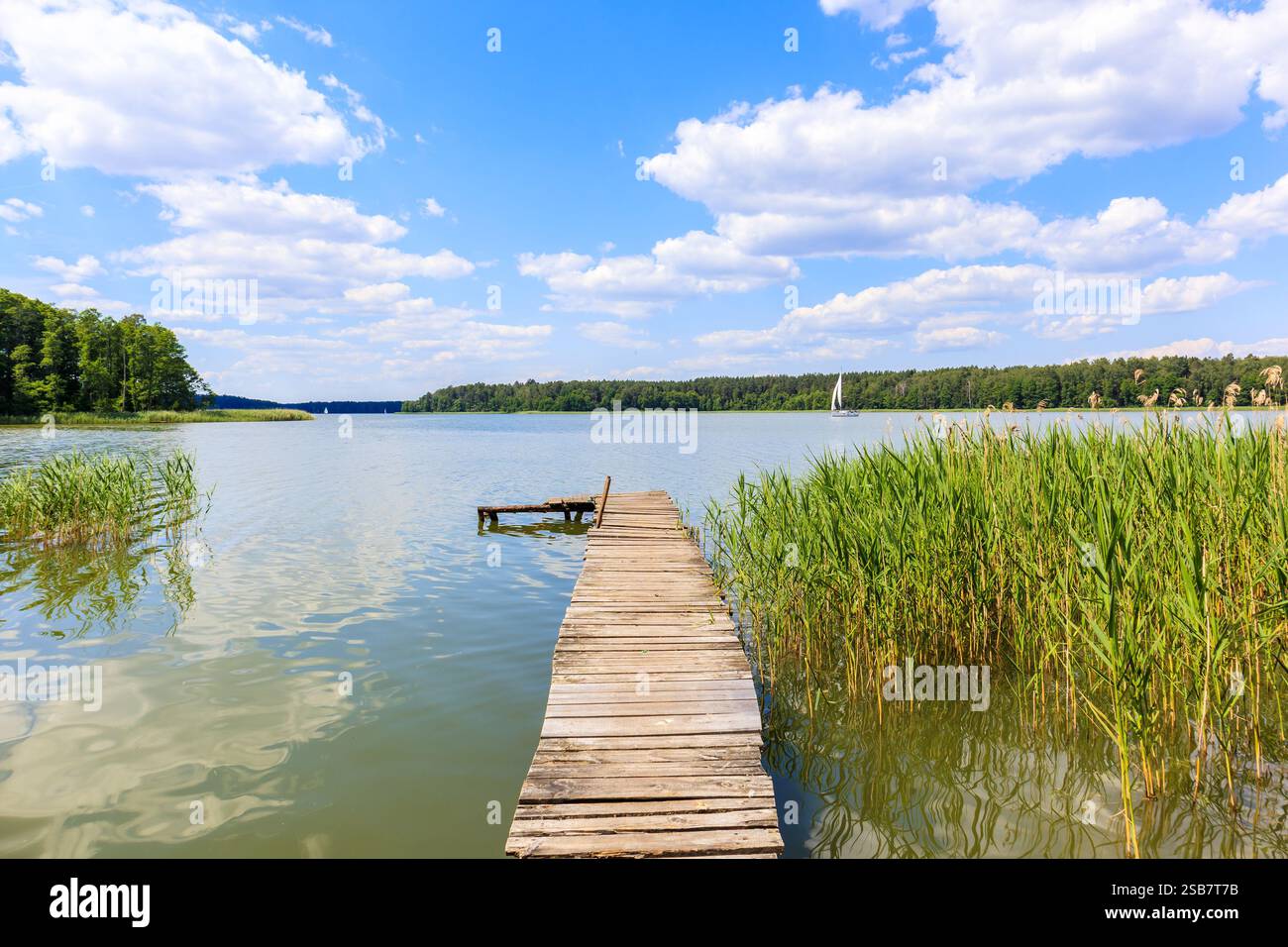 Wooden pier and grass on lake Nidzkie shore on sunny summer day with ...