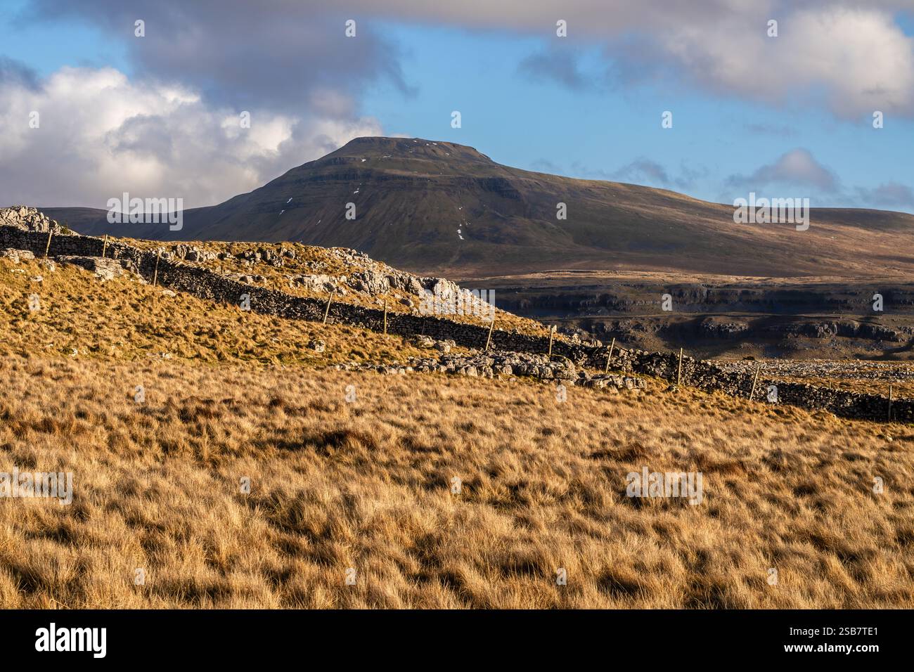 Ingleborough is the second-highest mountain in the Yorkshire Dales ...