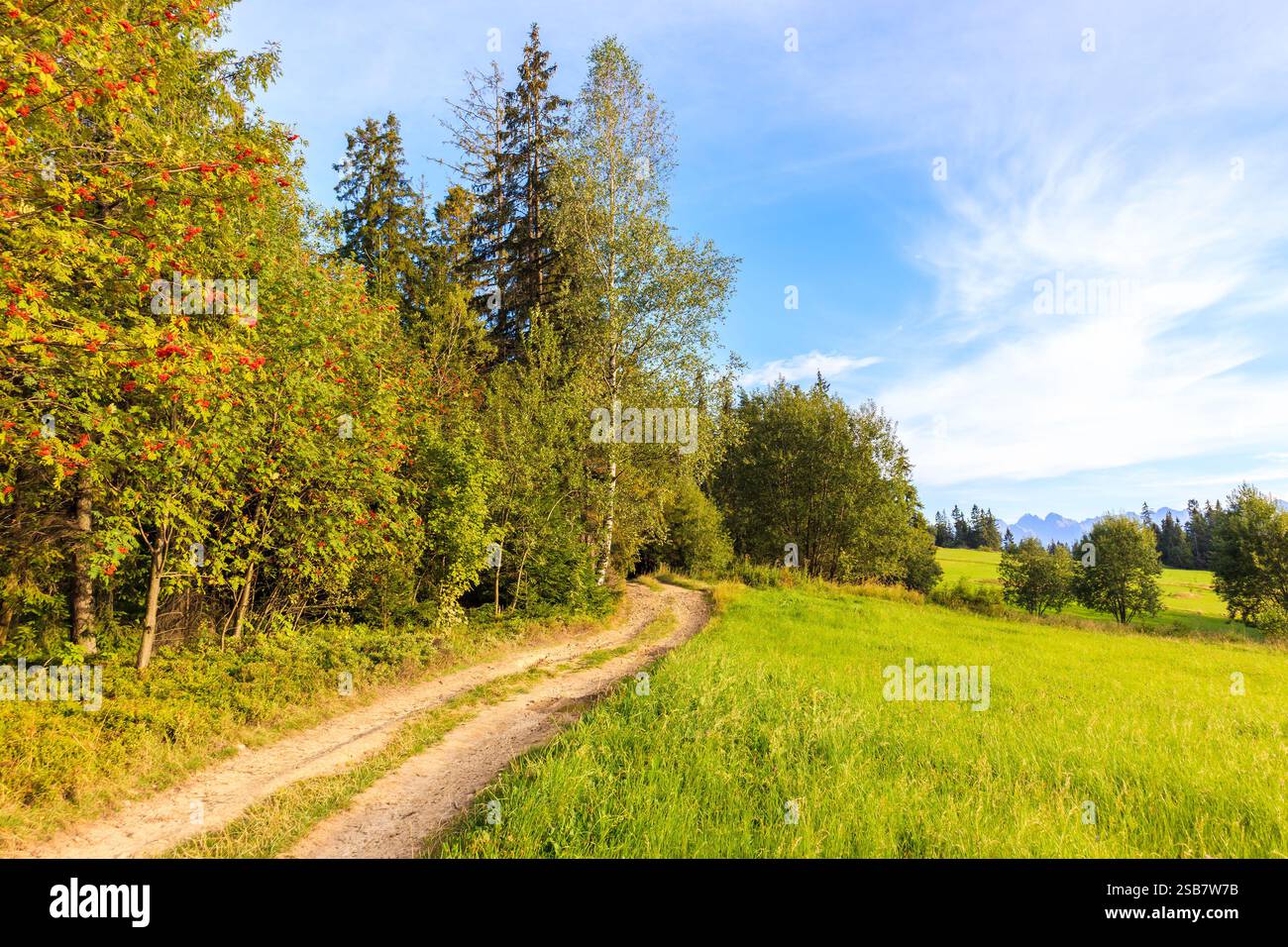 Rural countryside road to Lapszanka pass, Tatra Mountains, Poland Stock ...