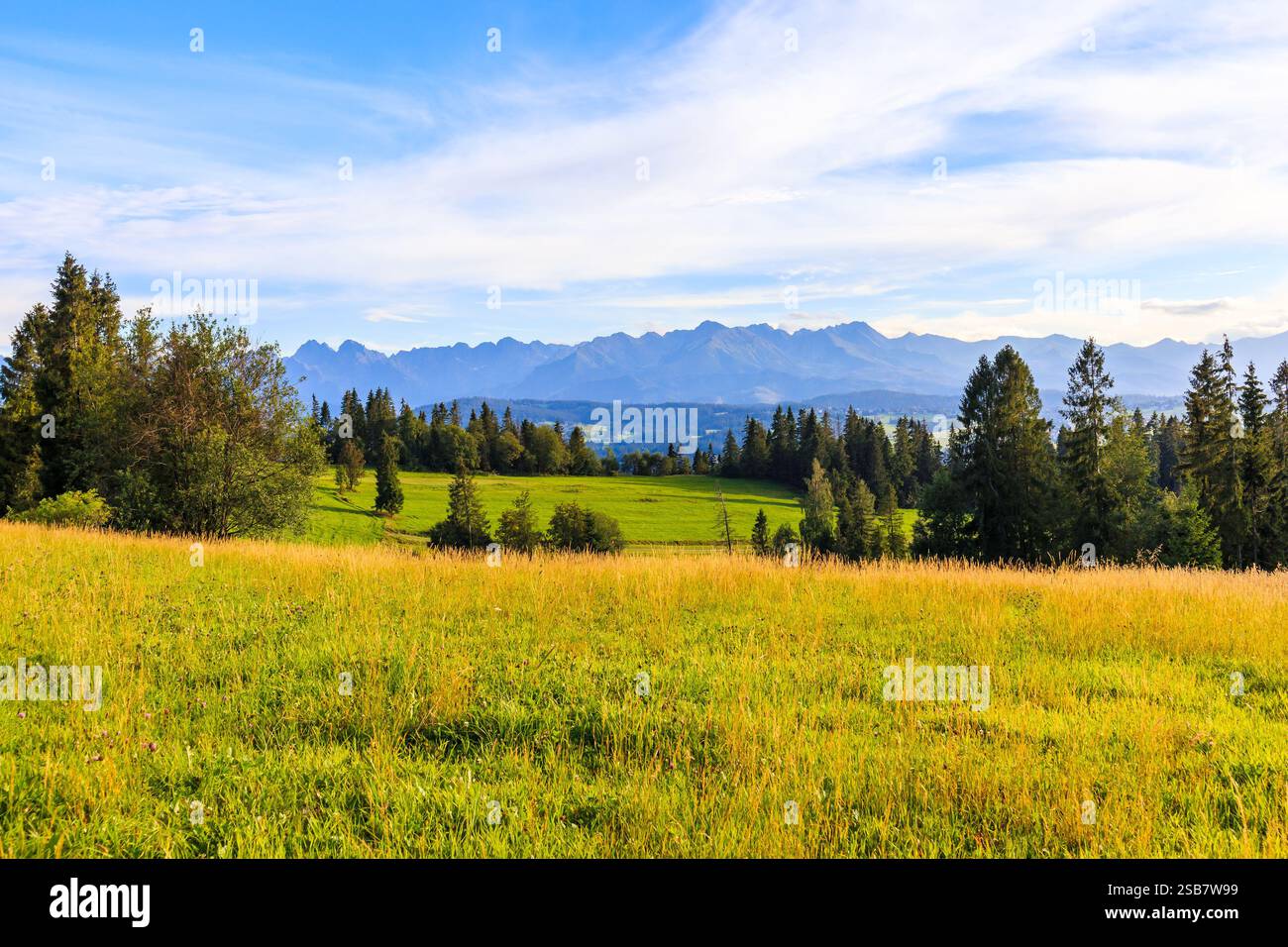Beautiful view of Tatra Mountains range from walking trail near ...