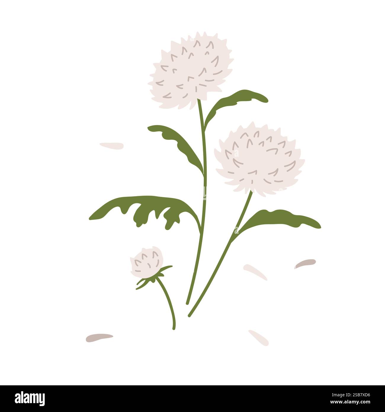 White flowers with green leaves on a light background showing a soft ...