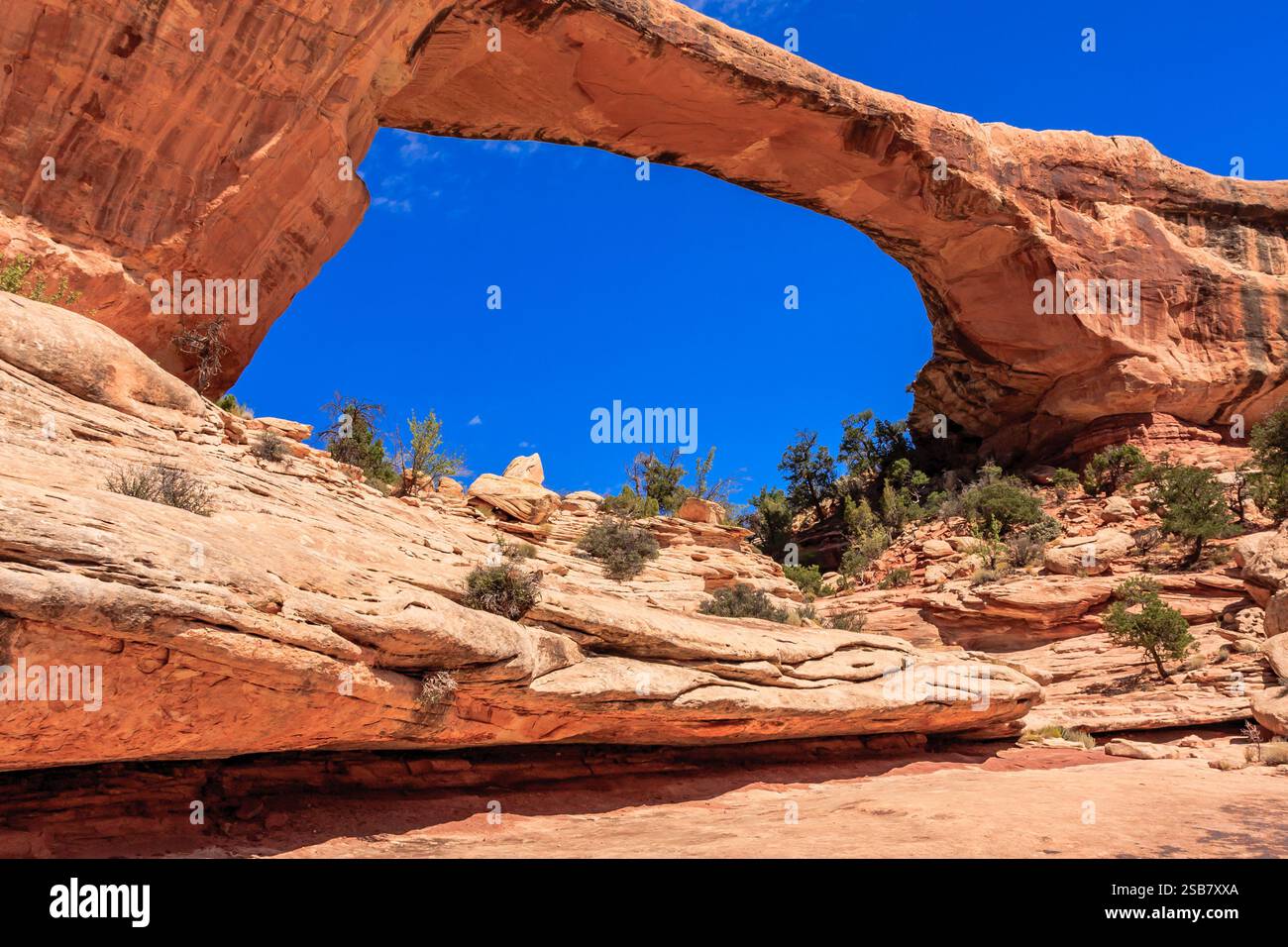 Natural Bridges National Monument is a U.S. National Monument located ...