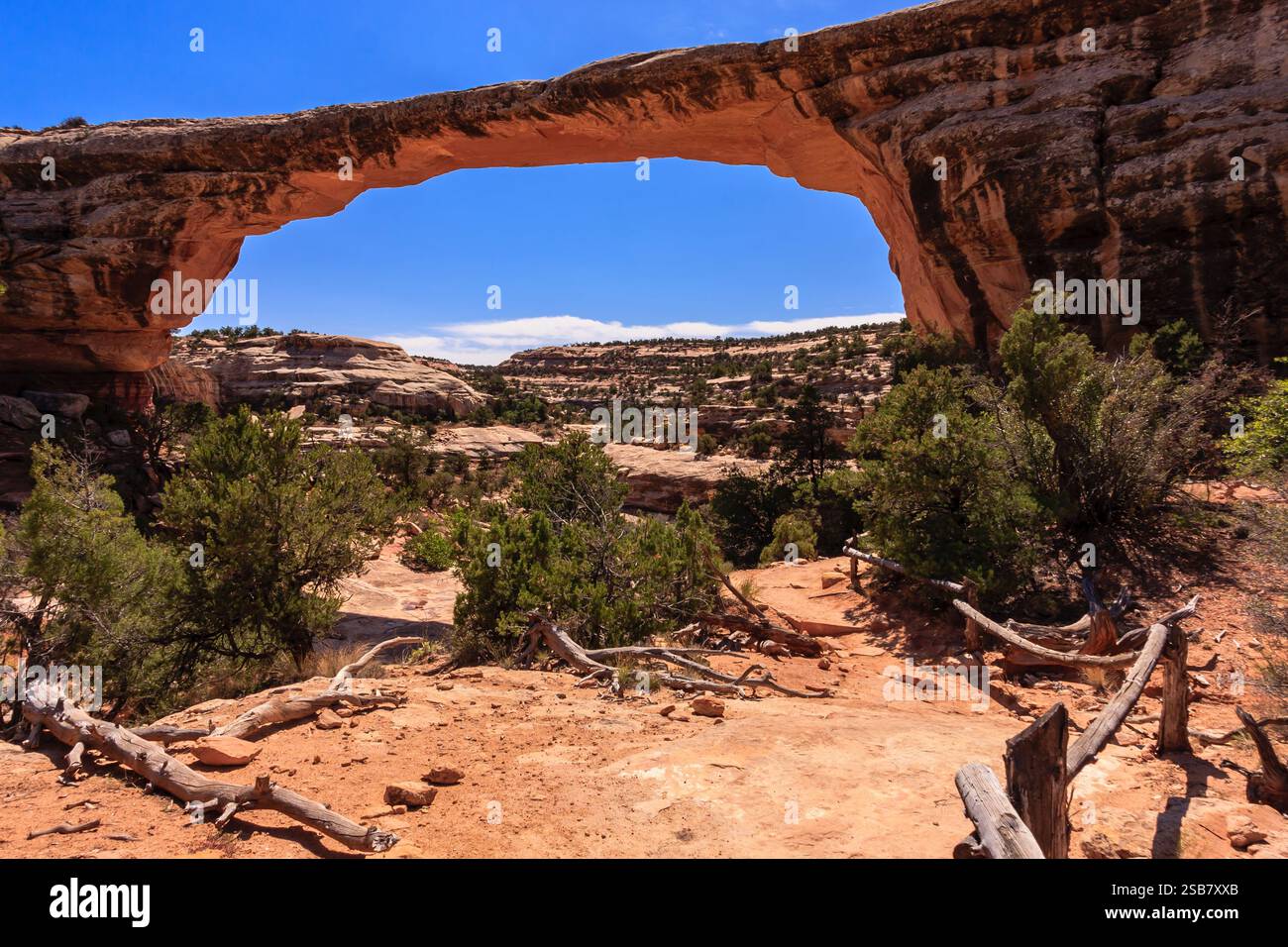 Natural Bridges National Monument is a U.S. National Monument located ...