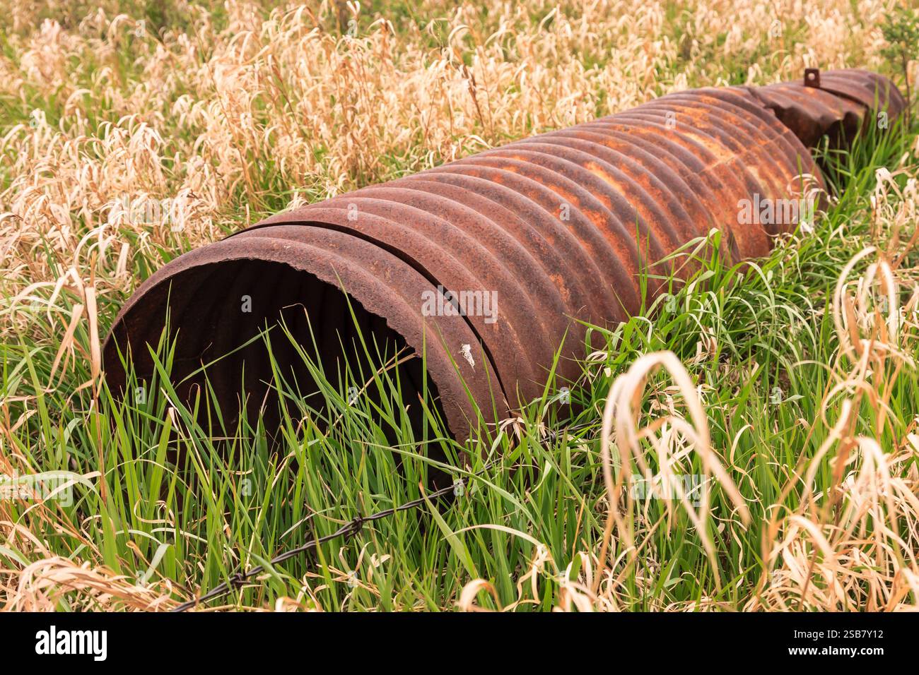 A rusty pipe is laying on the grass in a field. The grass is dry and ...