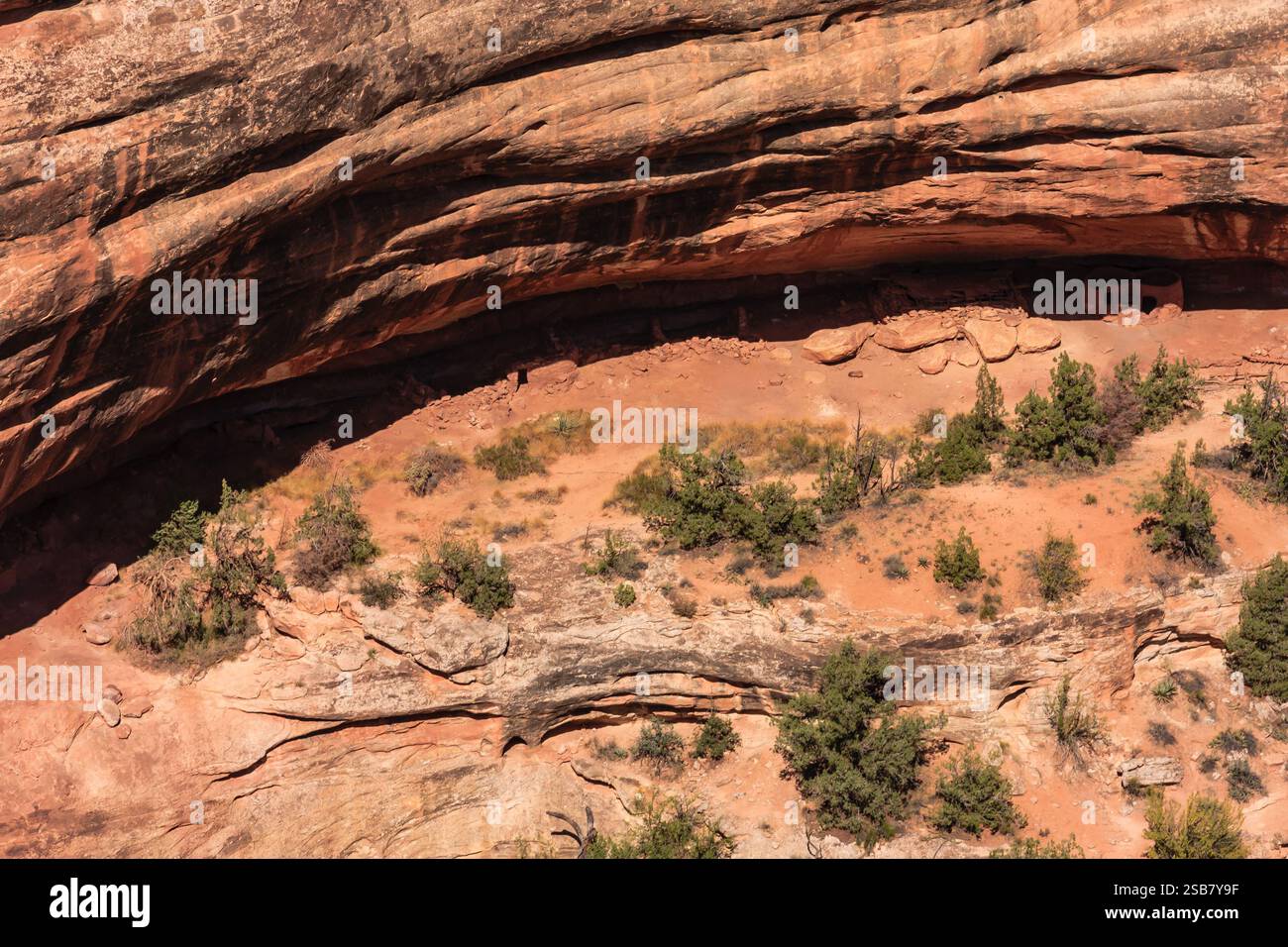 A rocky canyon with a lot of vegetation. The canyon is full of trees ...