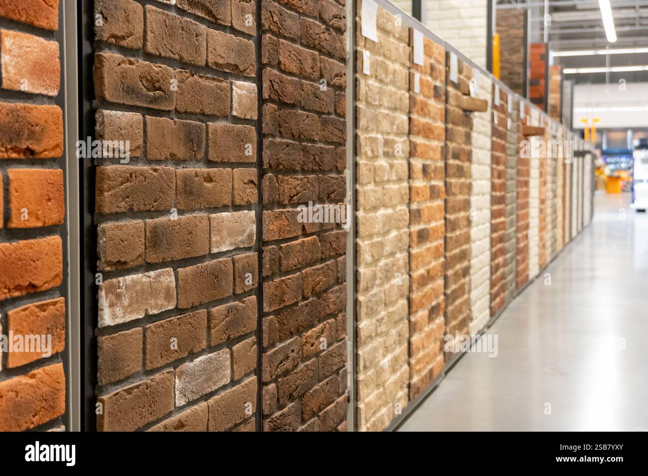 Modern store interior. Bathroom tiles and utensils shopping. Displays ...