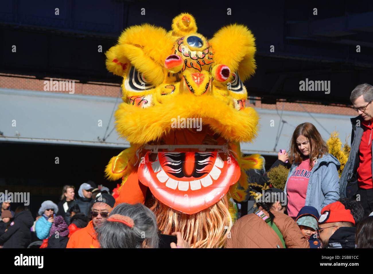 Dancing Dragon at a celebration of the Chinese Lunar New Year at the ...