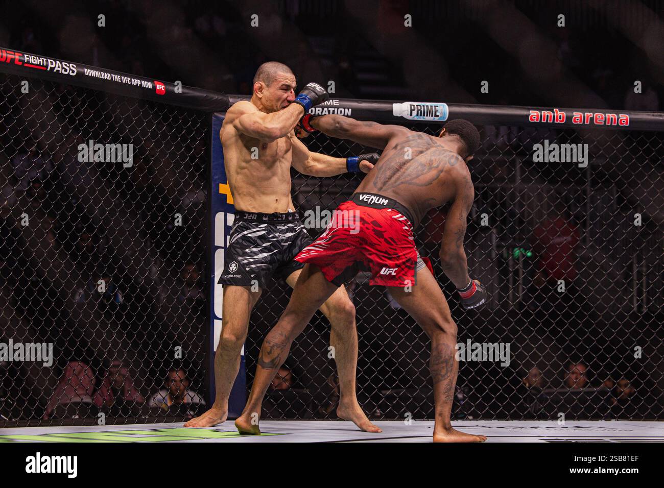 February 1, 2025, Riyadh, Riyadh, Saudi Arabia, Saudi Arabia: Damir ...