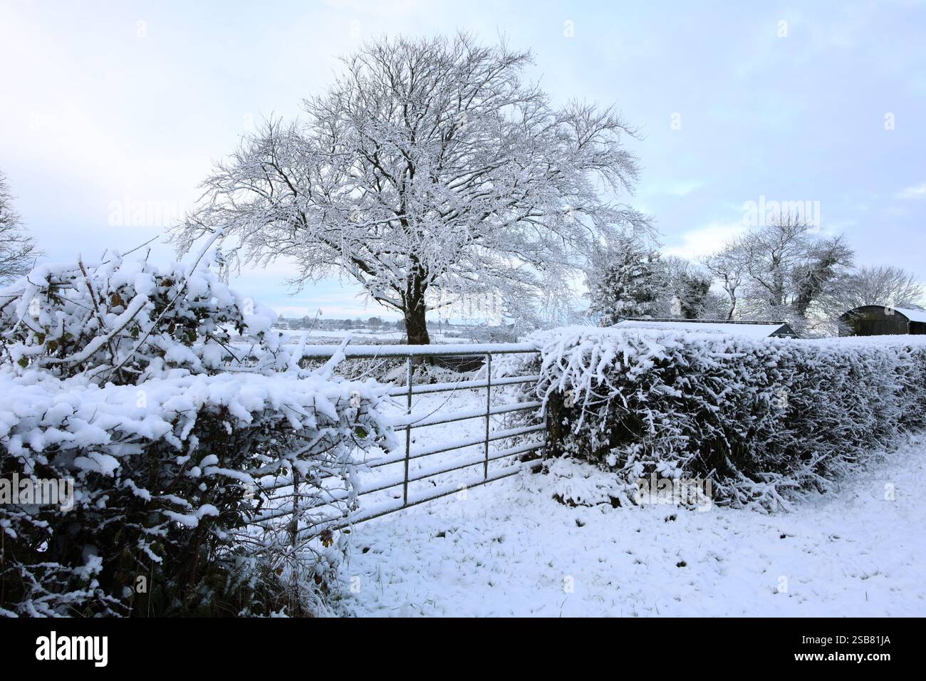 Ireland snow scene hi-res stock photography and images - Alamy