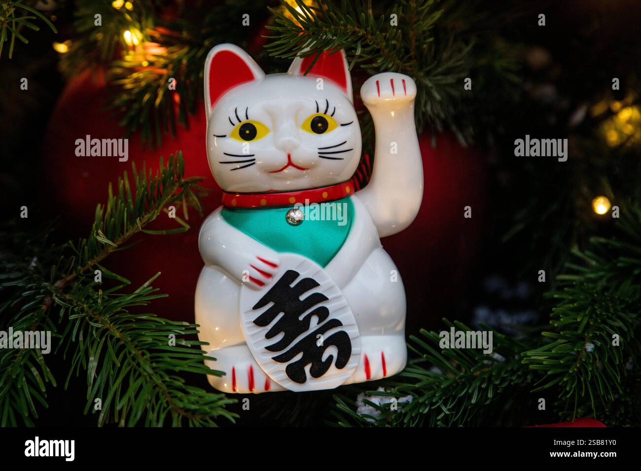 Good luck cats Maneki Neko on the background of the Christmas tree ...