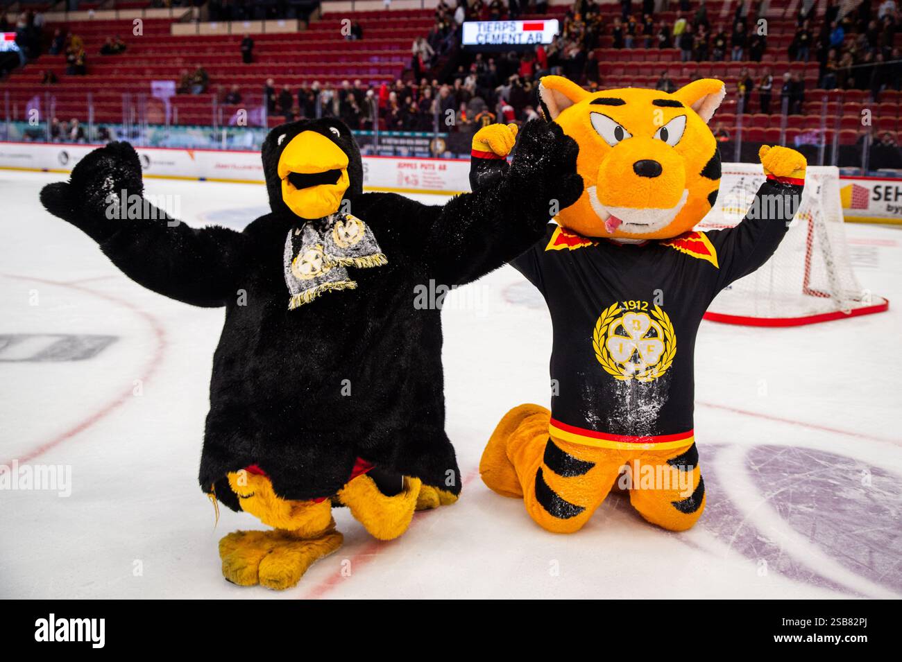 250201 Gefle Dagblads maskor Tjäder Väder och Brynäs maskot Brynästigern jublar efter ...
