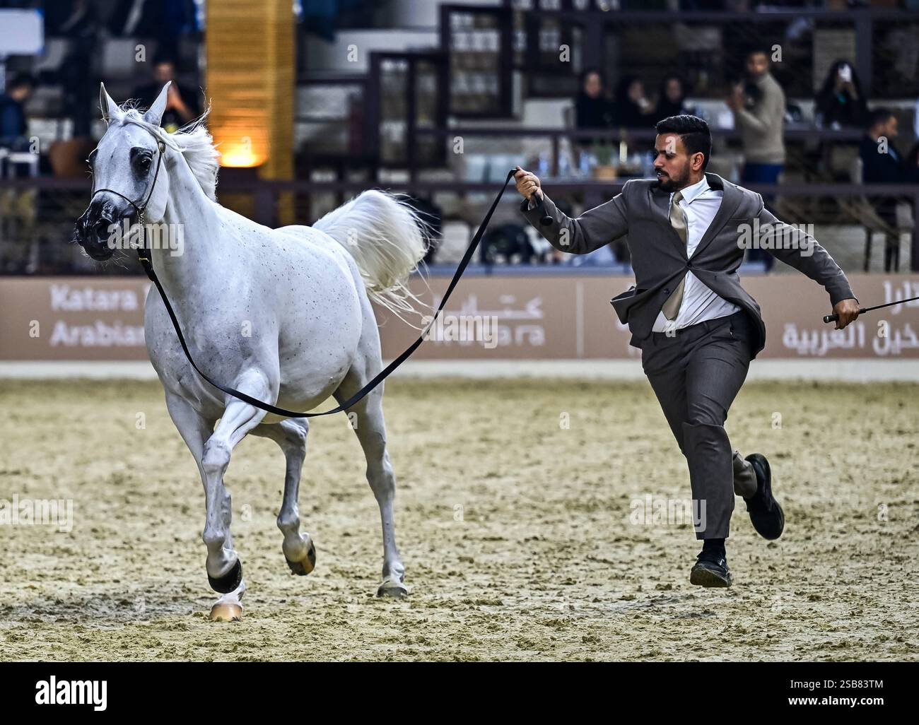KATARA INTERNATIONAL ARABIAN HORSE FESTIVAL KIAHF 2025 Sheihana Al ...