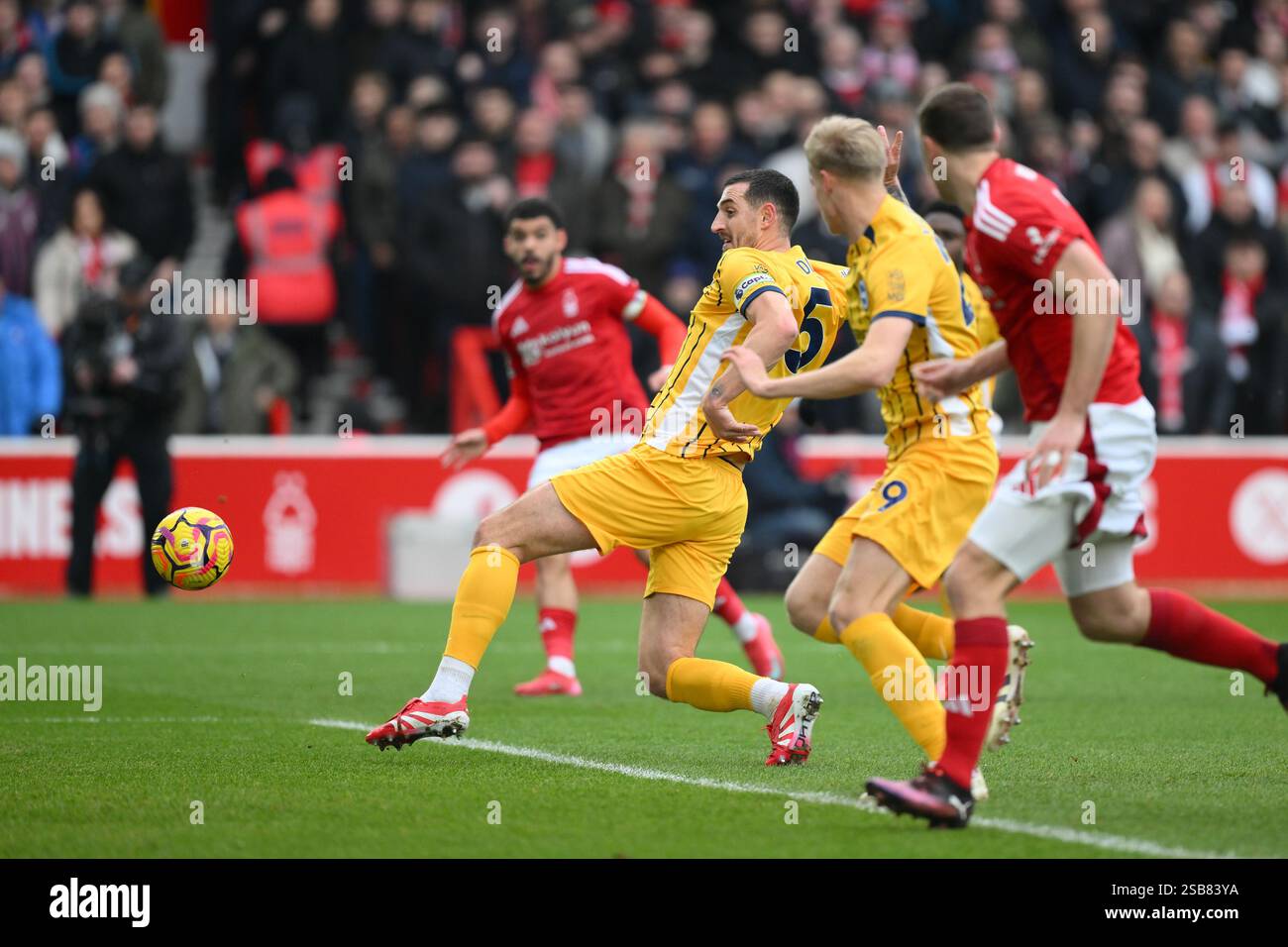 Lewis Dunk of Brighton scores and own goal during the Premier League ...