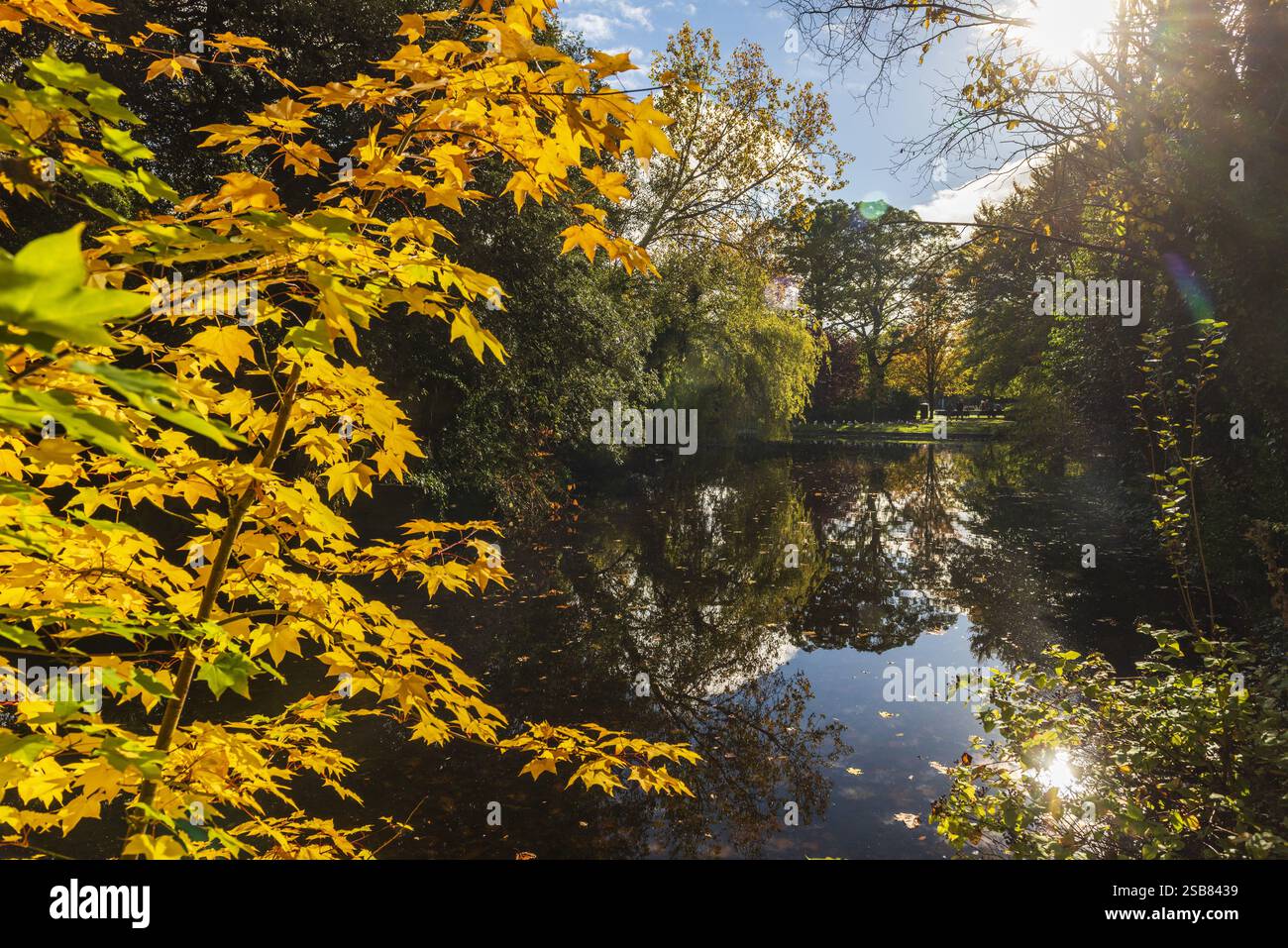 Ireland dublin saint stephens hi-res stock photography and images - Alamy