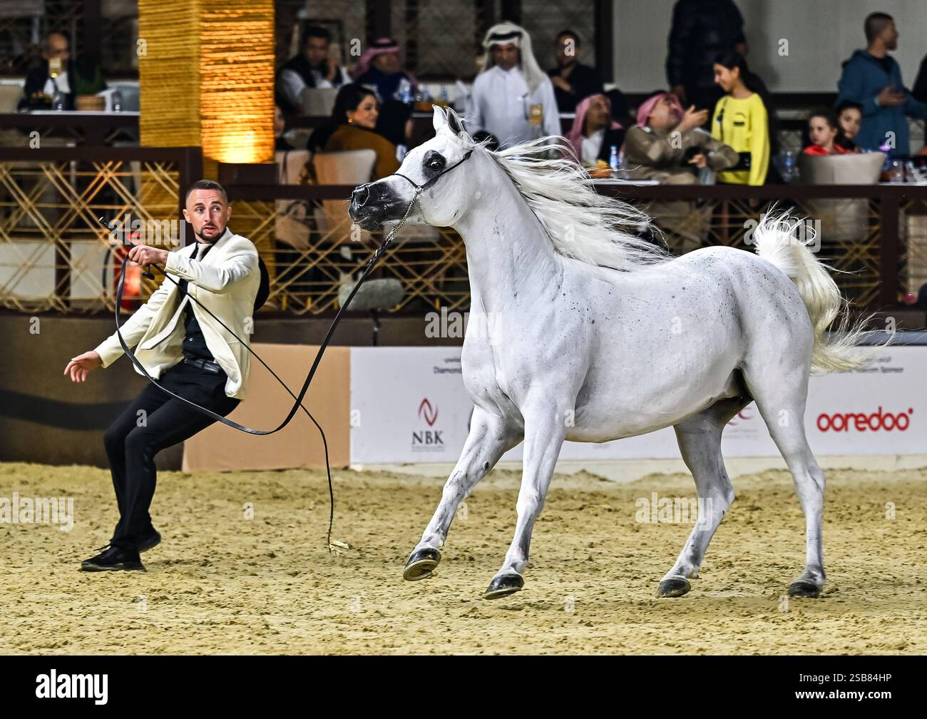 KATARA INTERNATIONAL ARABIAN HORSE FESTIVAL KIAHF 2025 Shaikha Al Danat ...